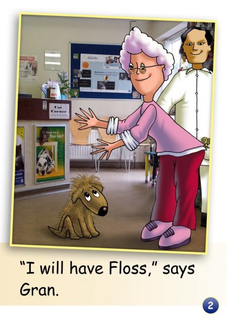 Phonic Books Dandelion Launchers, Stages 8-15 | Decodable Books for ...